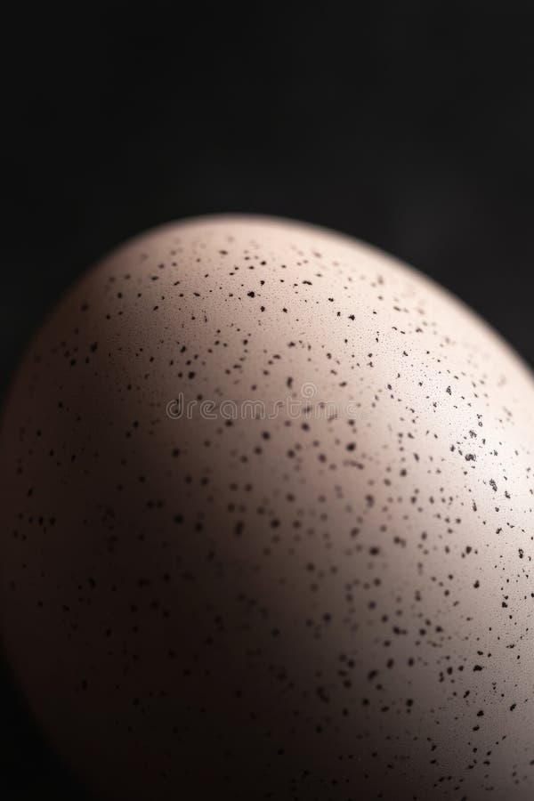 The Surface of a Speckled Eggshell is Shown in Close Detail, Revealing ...