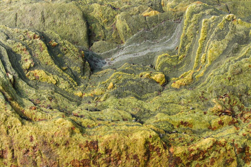 The Surface of a Spotted Stone. Protective Pattern for Clothes. Stock ...