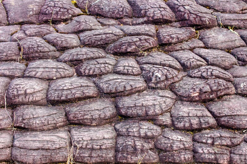 The Surface of the Stone Coastal Area Stock Photo - Image of area ...
