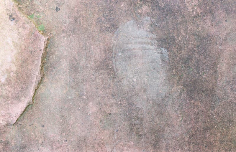 Surface of the Stone and Footprints Stock Image - Image of surface ...