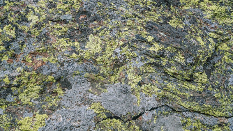 Surface of the Stone with a Gray Tinge. Texture. Stock Photo - Image of ...