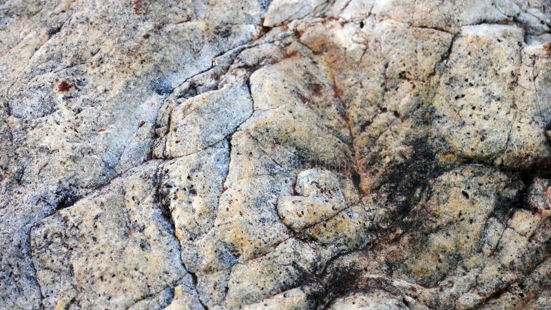 Stone skin stock photo. Image of busted, construction - 141301706