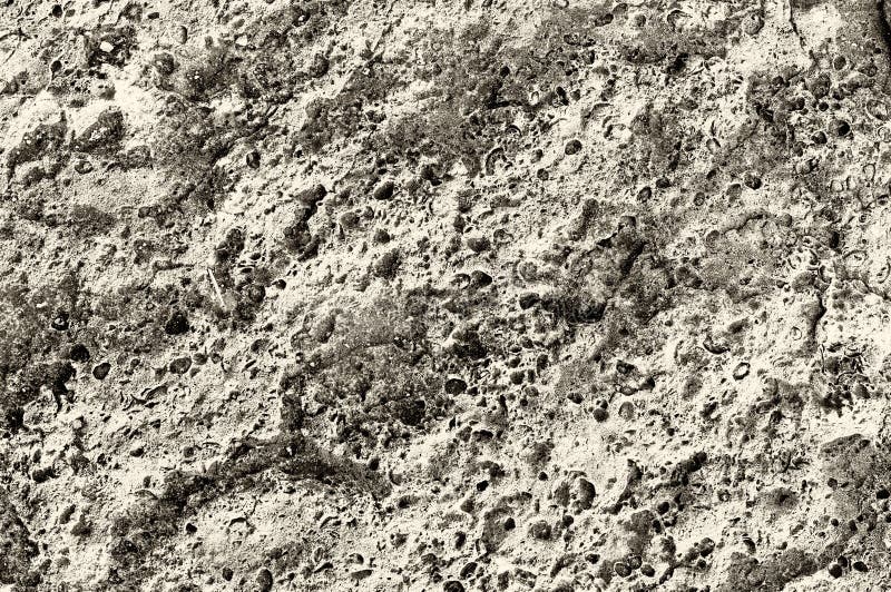 Surface of Stone, Structure Stock Photo - Image of coastal, background ...