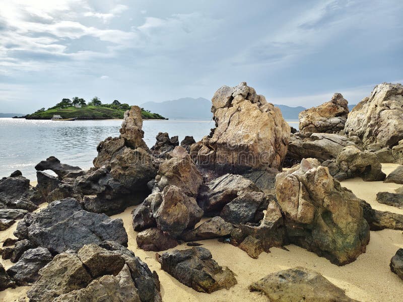 Limestone Eroded Coral Reefs Cavities Holes Rough Texture Erosion ...