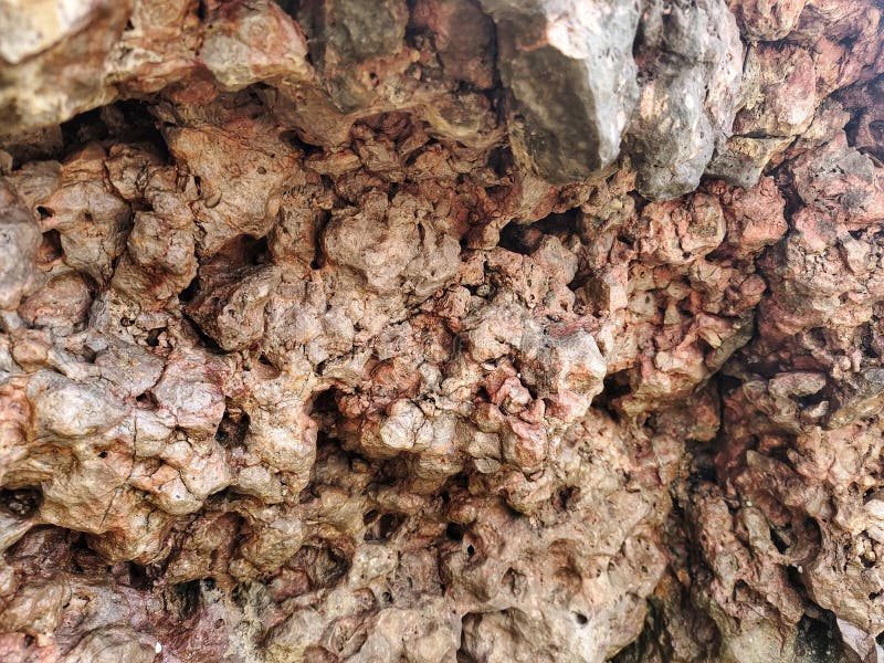Structure of Limestone and Eroded Coral Reefs with Cavities and Holes ...