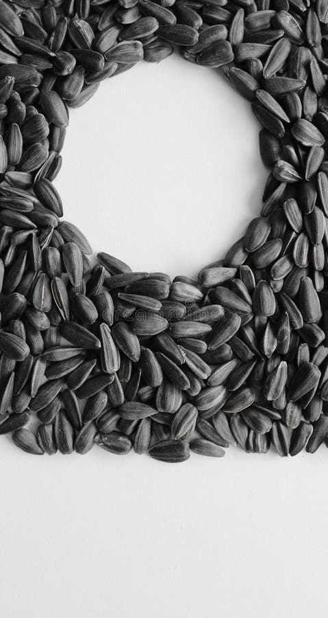Surface of Sunflower Seeds Scattered in Geometric Shape on Clean White ...