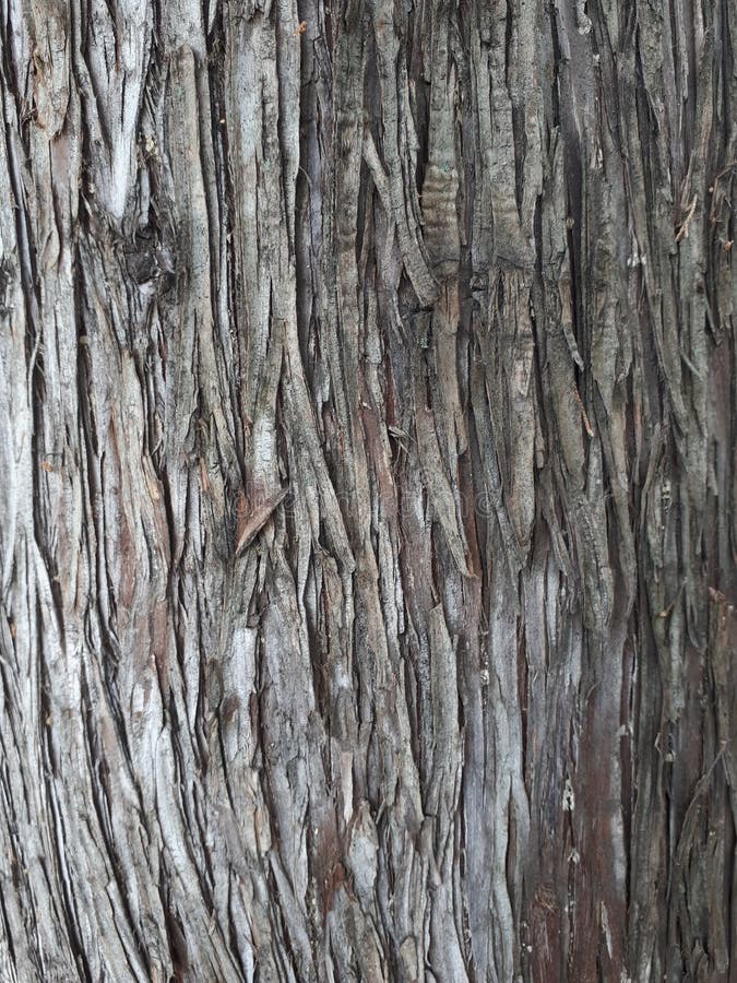 Surface Texture and Background for a Site or Screensaver. Stock Image ...