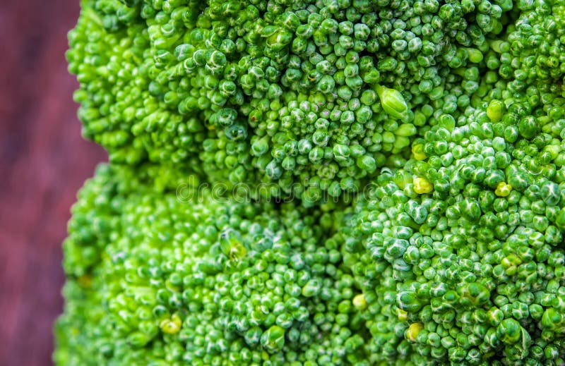Surface Texture of Freshness Broccoli Vegetable Stock Photo - Image of ...
