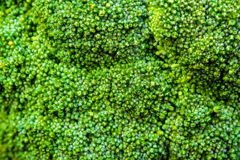 Surface Texture of Freshness Broccoli Vegetable Stock Photo - Image of ...