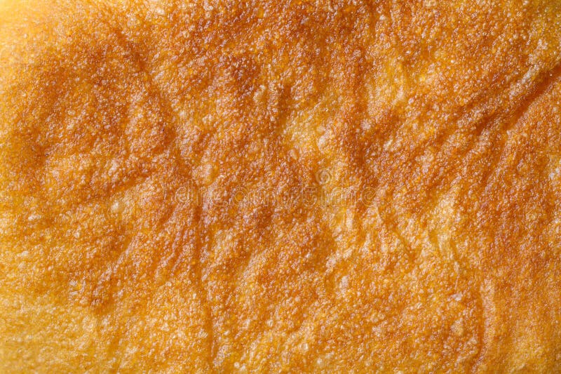 Texture of Fried Fillet Glazed Pork, Close-up. Grilled Pork Rib Stock ...