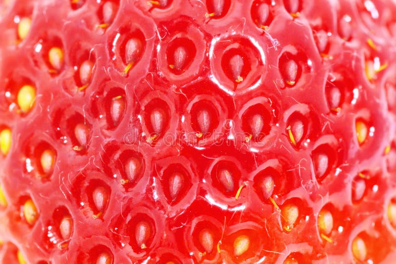 440 Strawberry Skin Texture Photos - Free & Royalty-Free Stock Photos ...