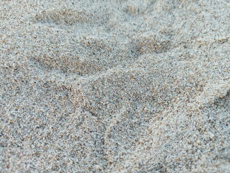 Surface and Texture of White Sand Beach during a Hot Summer Day Stock ...
