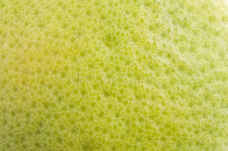 The Surface Texture of the Yellow Pomelo Fruit or Citrus Maxima, Macro ...