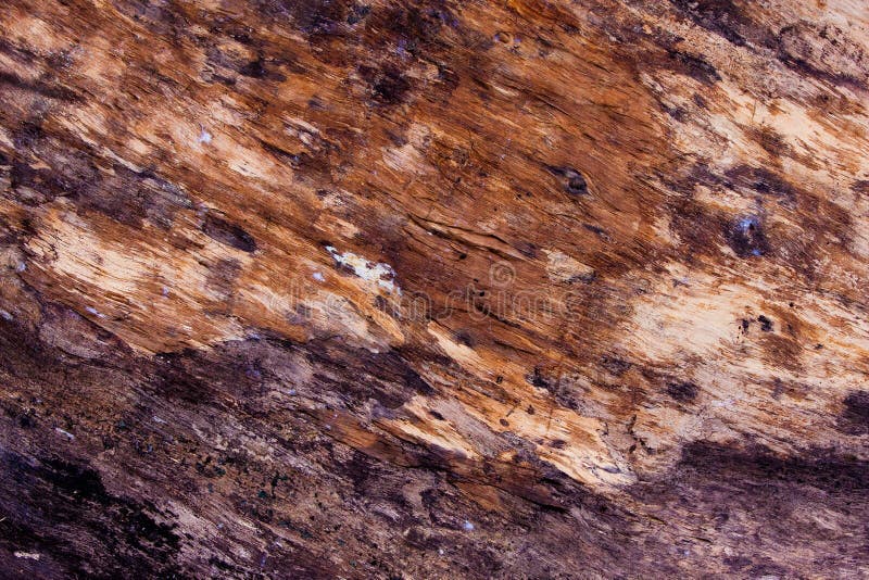 Surface of Timber Background,wood Background. Stock Photo - Image of ...