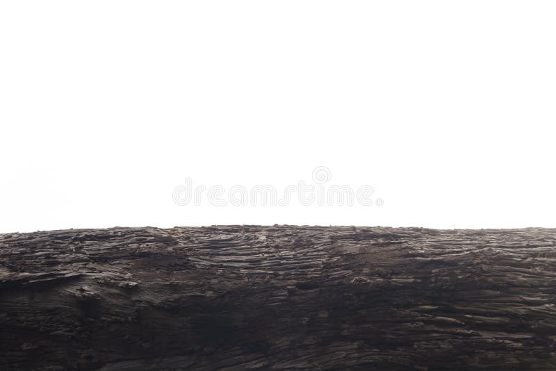 Surface of tree log stock photo. Image of nature, natural - 147689480