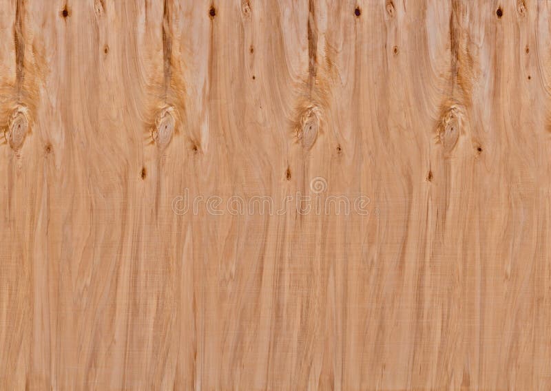 The Surface of the Veneer is Beige in Knots and in Damages . Background ...
