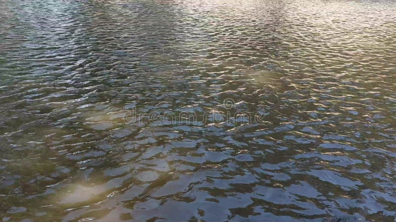 The Surface of the Water Blown by the Wind Stock Video - Video of lake ...