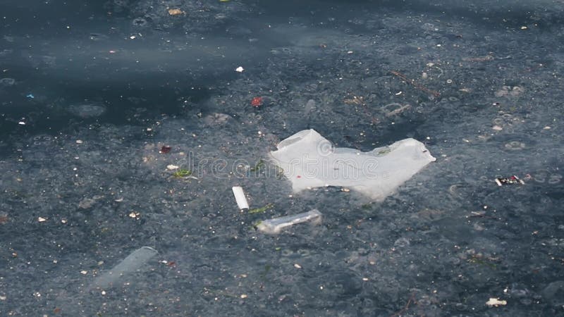 The Surface of the Water is Contaminated with Various Debris and ...