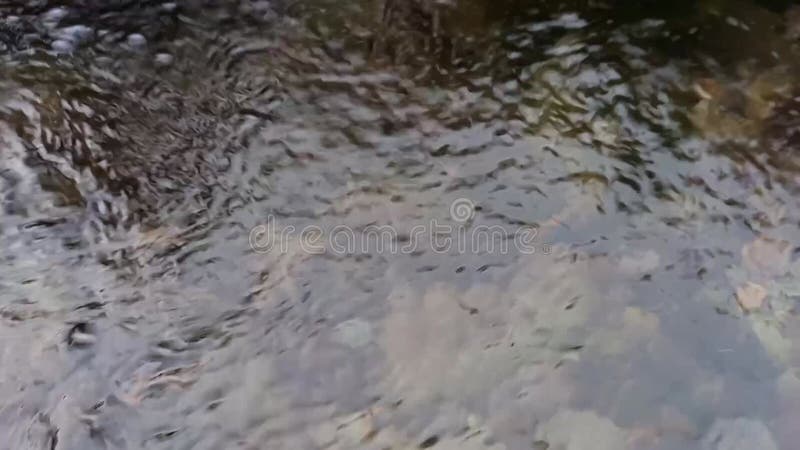 Surface Water Flow in a Clear River Stock Footage - Video of natural ...