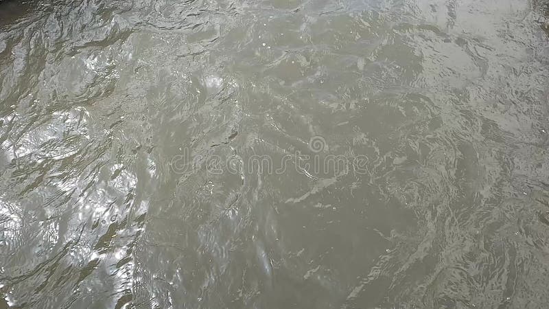 The Surface of the Water Flow in an Irrigation Channel in the Middle of ...
