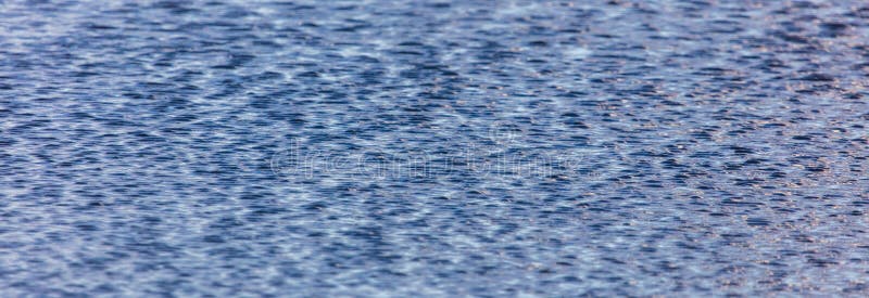 The Surface of the Water in the Pond As an Abstract Background Stock ...