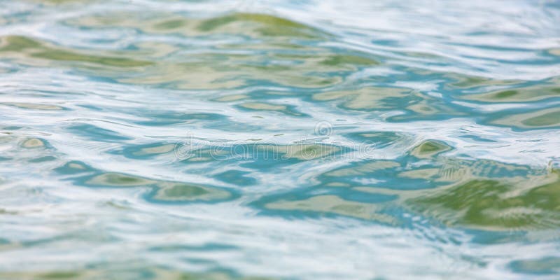 The Surface of the Water in the Pond As an Abstract Background Stock ...
