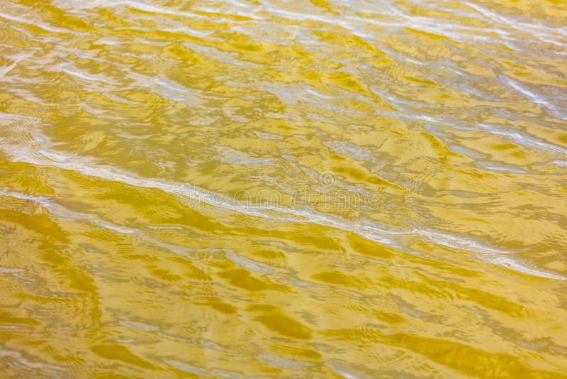 The Surface of the Water in the Pond As an Abstract Background Stock ...