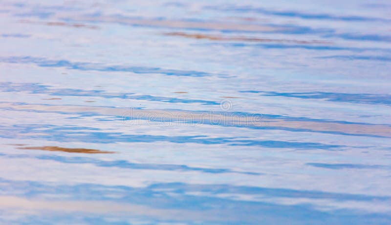 The Surface of the Water in the Pond As an Abstract Background Stock ...