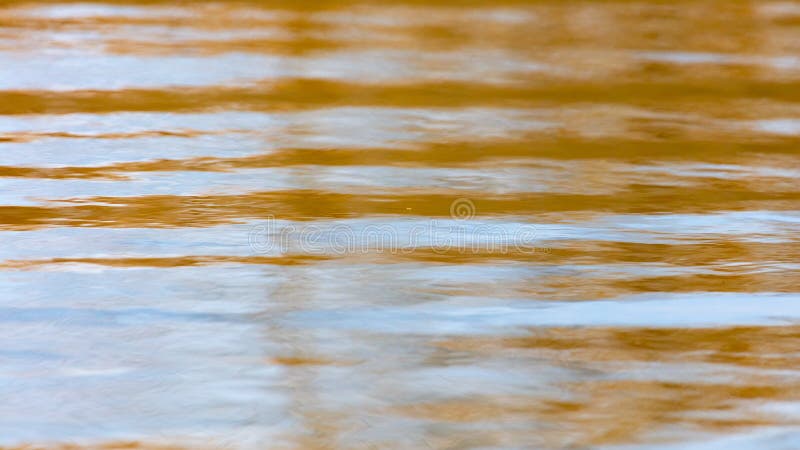 The Surface of the Water in the Pond As an Abstract Background Stock ...