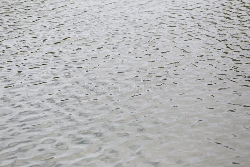 Surface of the Water in a Pond Ripple Small. Stock Photo - Image of ...