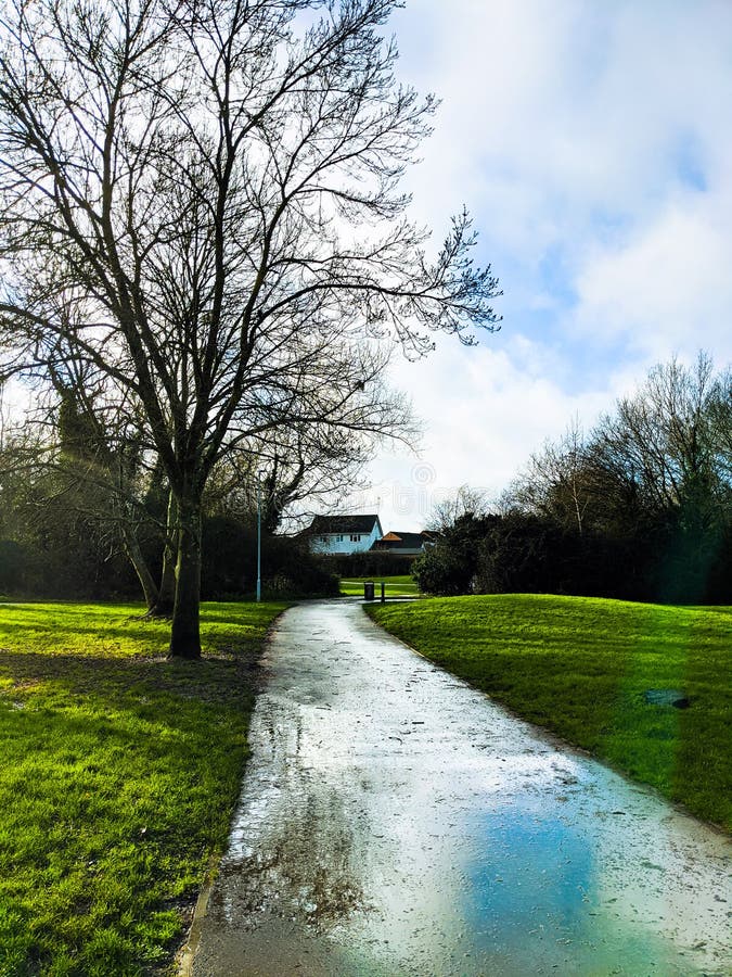 Surface Water Reflection on Path Stock Image - Image of path ...