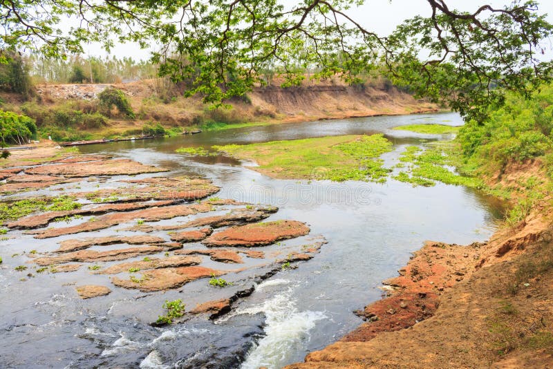 Water Dried Up in a Forest. Stock Photo - Image of land, animals: 69399516