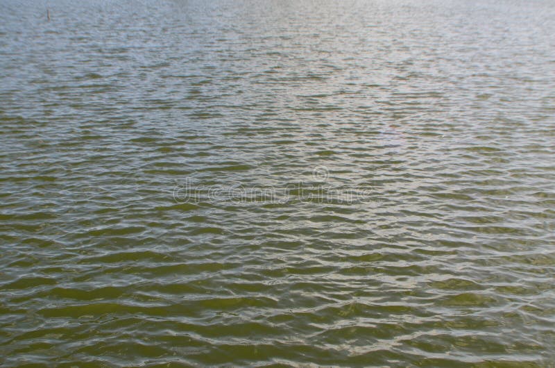 The water surface rippled stock image. Image of textured - 284869051