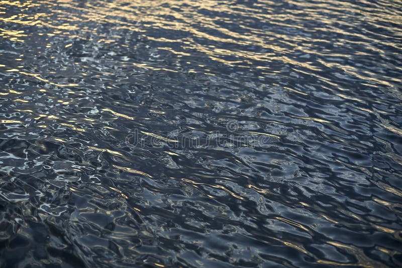 The Surface of the Water on the River Stock Photo - Image of green ...