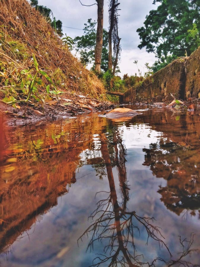 Mini river stock image. Image of water, reflection, leaf - 372937833