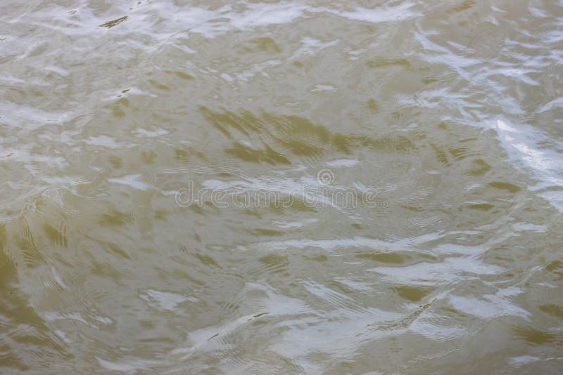 Surface Water Wave Close Up Top View Stock Image - Image of swimming ...