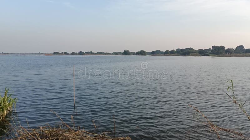 The Surface of the Water when the Wind Blows in Ripples. Stock Footage ...