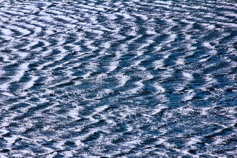 Surface of the windy sea stock image. Image of finned - 242222521