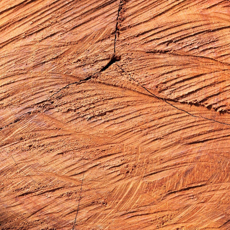 Surface Wood Log Texture Background Stock Photo - Image of wooden ...