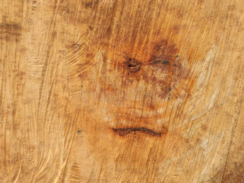 The Surface of the Wooden Pieces of Wood that Visible To the Wood ...