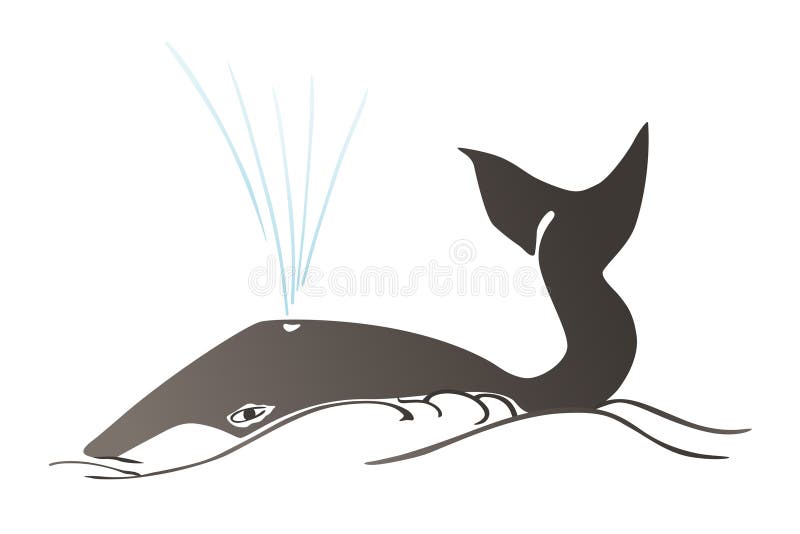 Whale on the Sea Surface Spouting a Cloud of Air and Condensed Water ...