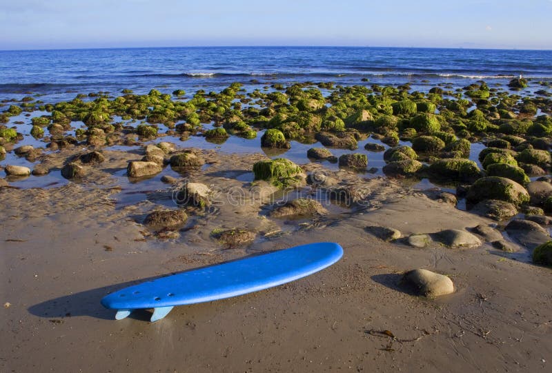 Surfboard on the Beach Landscape Stock Photo - Image of surf, vacation ...