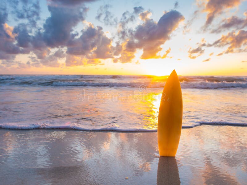 Surfboard on the beach stock image. Image of surfboard - 48626301