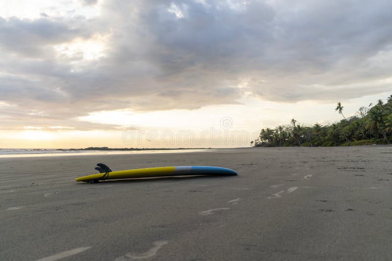 Surfboard on the Beach at Sunset Stock Photo - Image of adventure ...