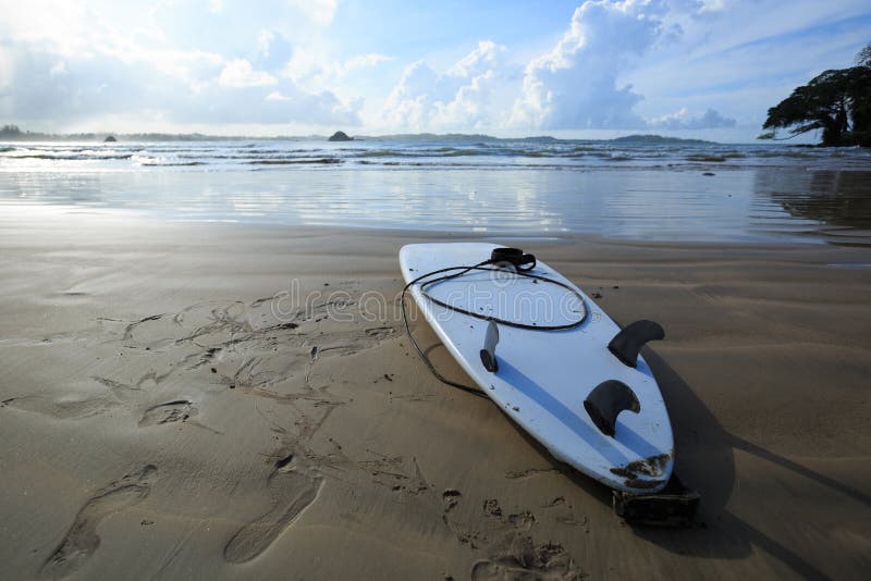 Surfboard on beach stock photo. Image of sunshine, sporting - 93969530