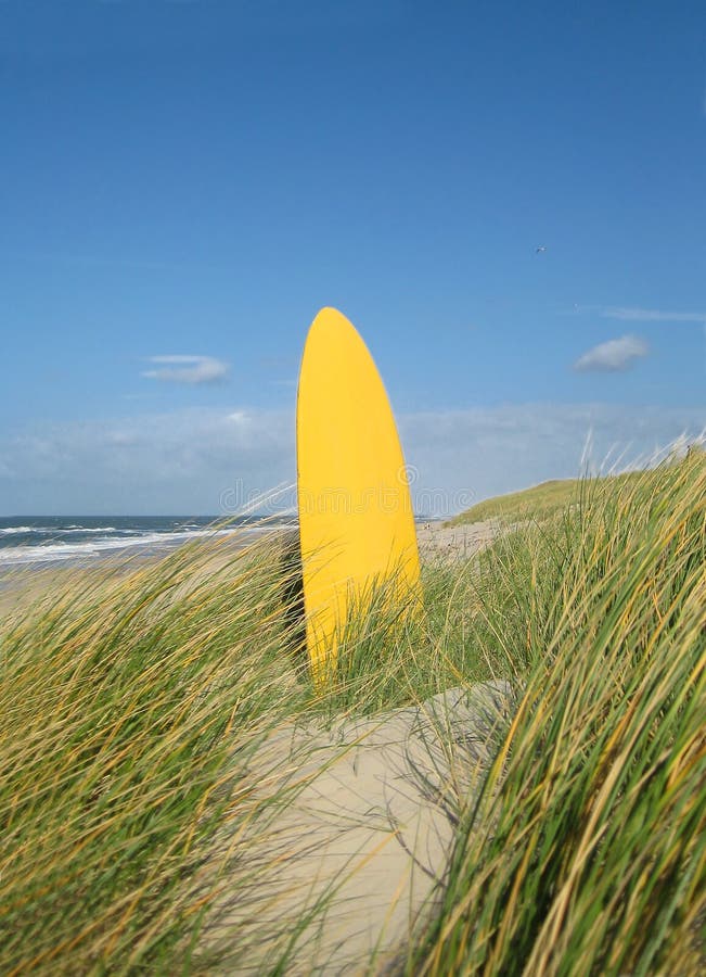 Surfboard at the beach stock photo. Image of california - 92039182