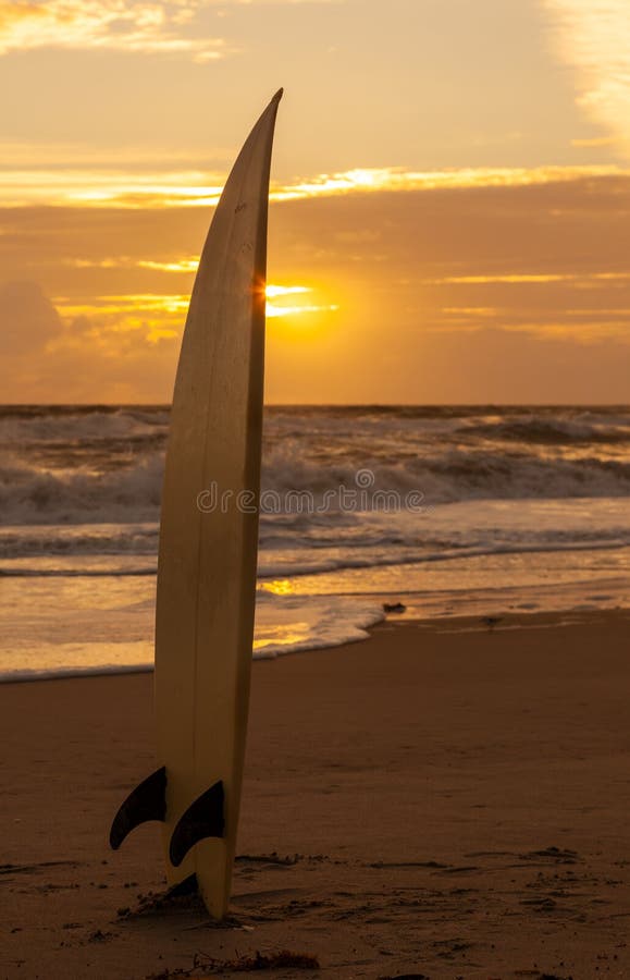 Surfboard Standing in the Sand on a Beach at Sunset or Sunrise Stock ...