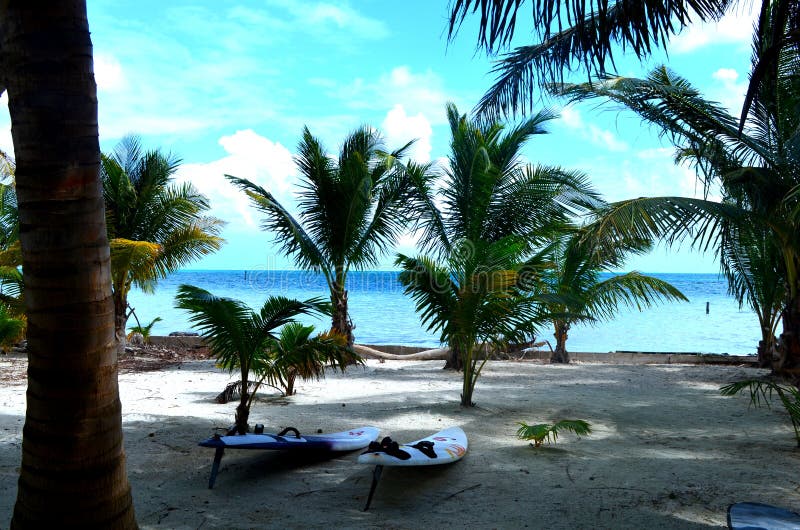 Surfbretter Auf Dem Strand in Belize Stockfoto - Bild von kalfaterer ...