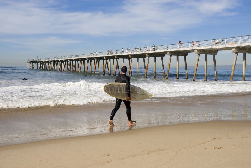 3 Board Guys Carts Stock Photos - Free & Royalty-Free Stock Photos from ...