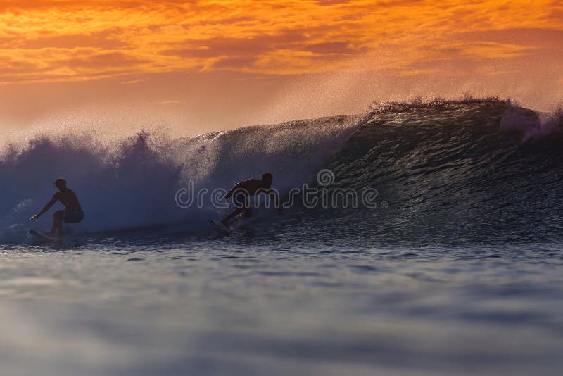 Surfer on Amazing Wave stock image. Image of athletics - 51426069